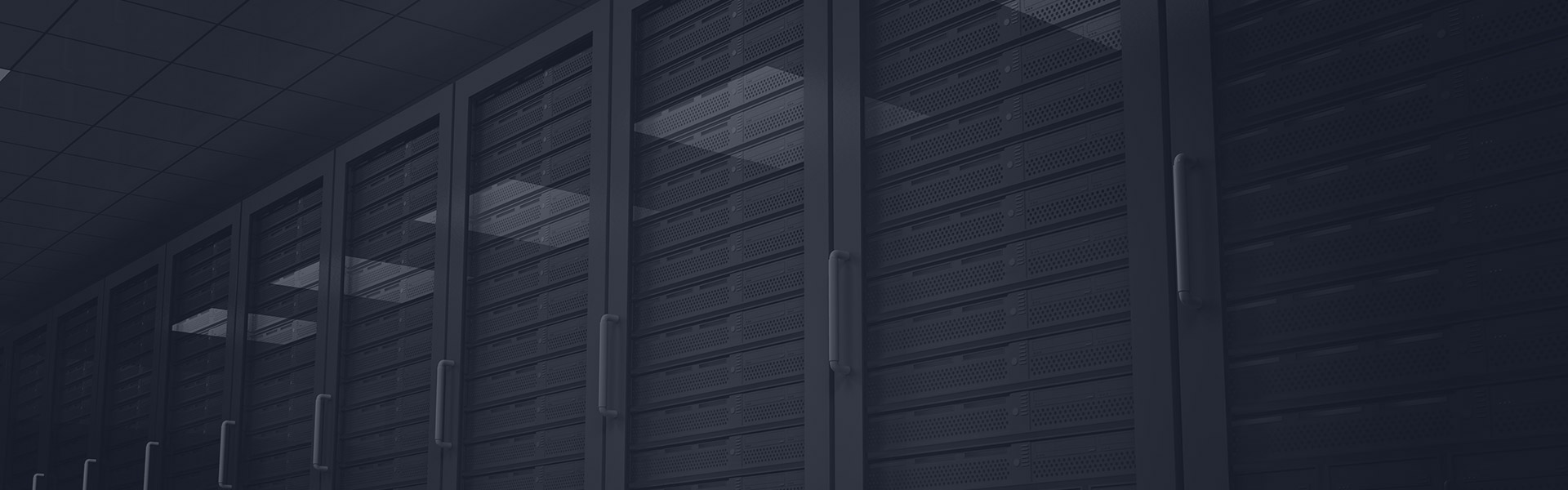 Data Center - Rea Hosting